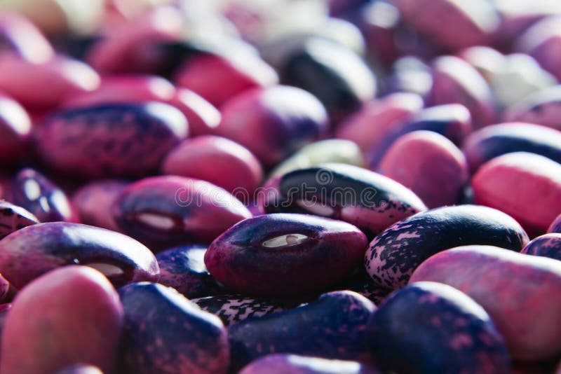 String bean stock photo. Image of food, beans, uncooked - 26650798