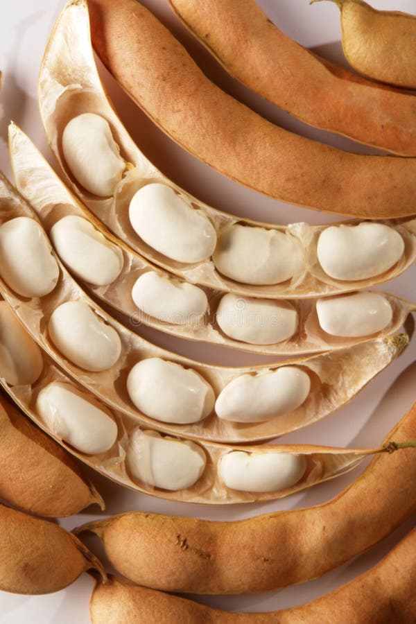 String bean in pods stock image. Image of cook, eating - 5625907