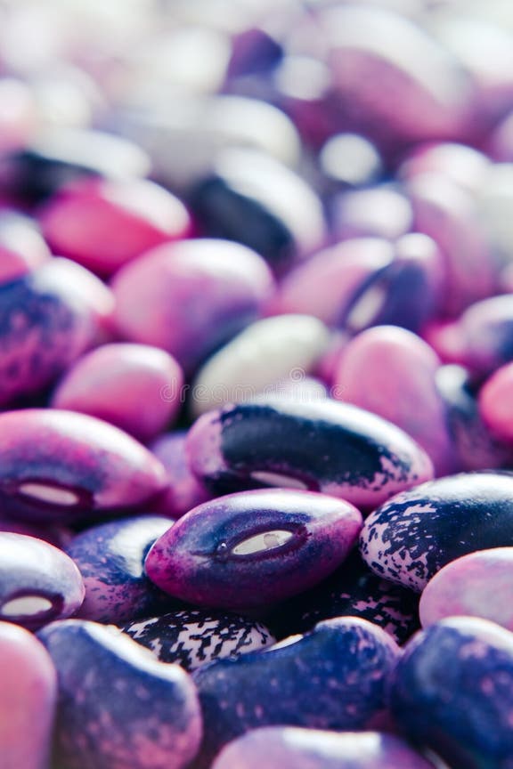 String bean stock photo. Image of grain, harvest, pile - 38197788