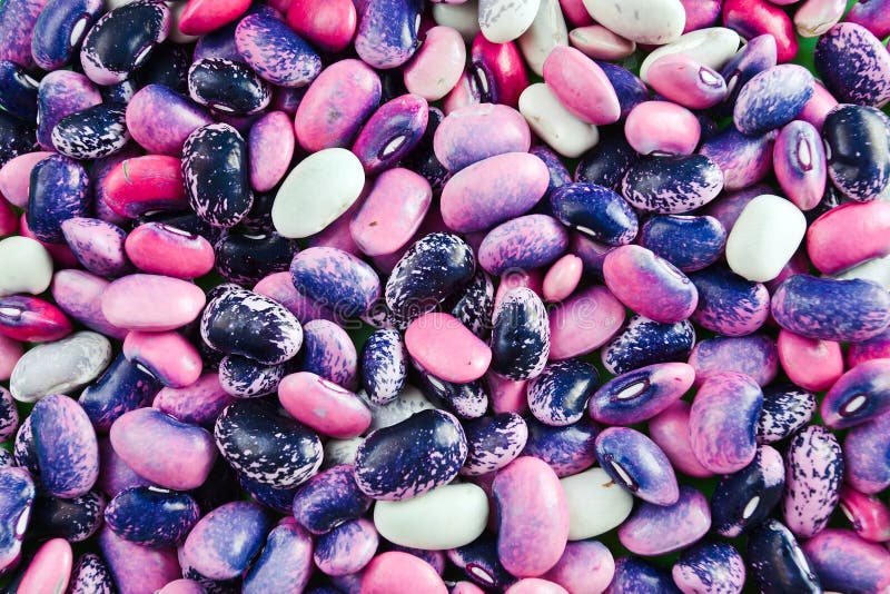 String bean stock image. Image of closeup, healthy, grain - 38197809