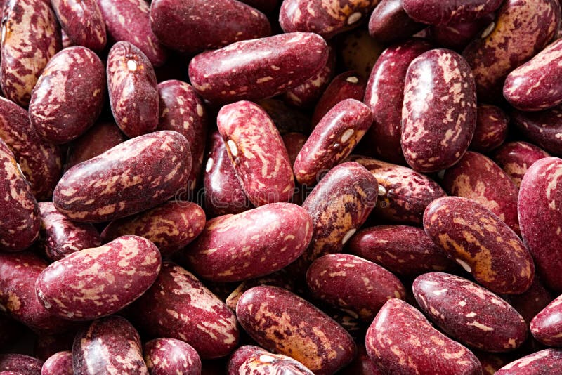 String bean stock photo. Image of pinto, kitchen, nutrient - 6686628