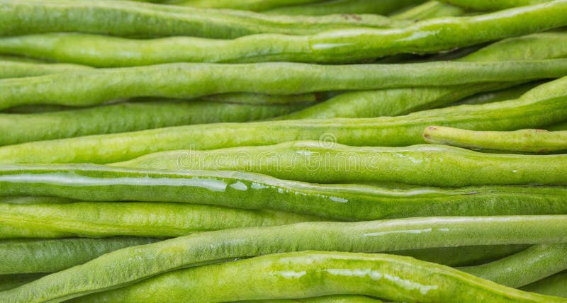 String Bean Fruit and Blossoms Stock Image - Image of green, vegetable ...
