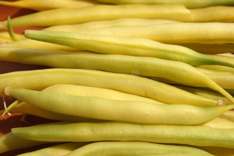 String bean in pods stock photo. Image of health, nutrition - 5625902