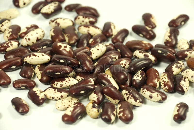 String bean scattering stock photo. Image of heap, speck - 11561348