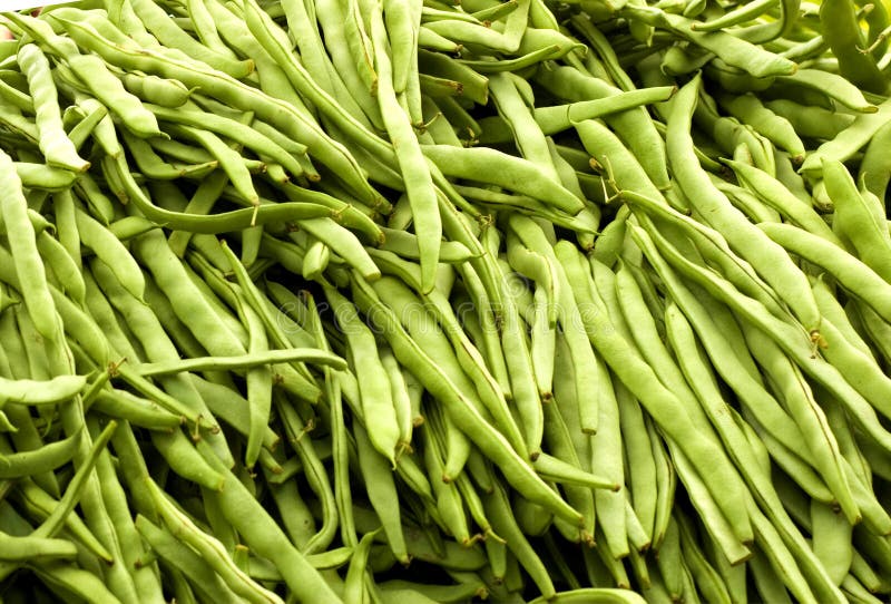 String beans stock image. Image of crate, farming, background - 10188499