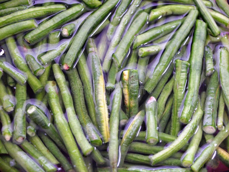String Beans stock photo. Image of macro, crop, objects - 22281212