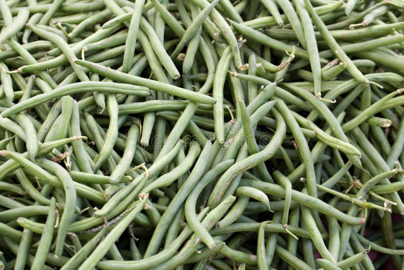 String Beans stock photo. Image of agricultural, plant - 23887146
