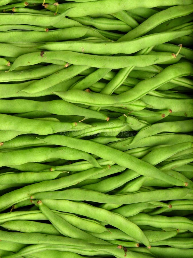 String beans stock photo. Image of cooking, beans, market - 259496