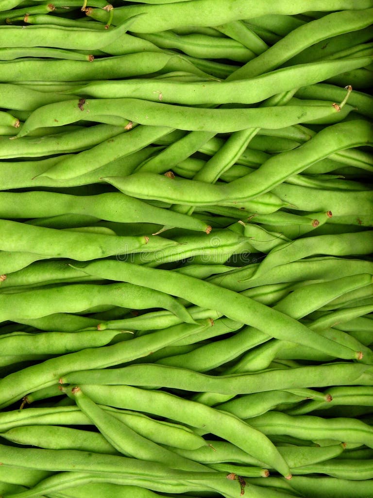 13,099 String Beans Stock Photos - Free & Royalty-Free Stock Photos ...