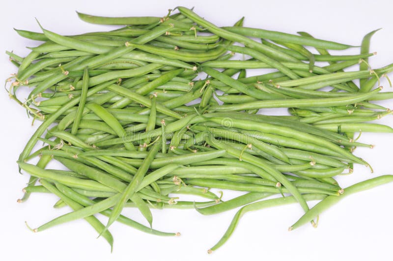Fresh Green beans stock photo. Image of country, farming - 15958022