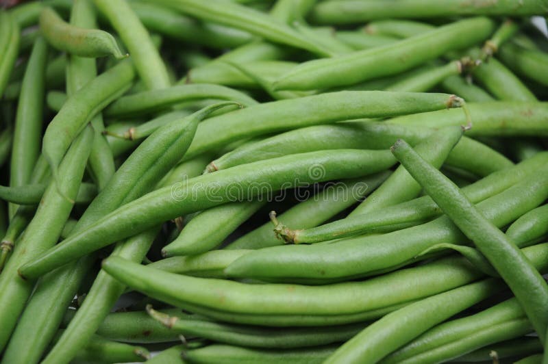 String beans stock photo. Image of cooking, beans, market - 259496
