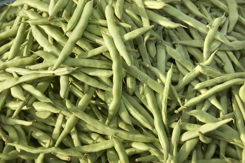 String Beans Picture. Image: 988953