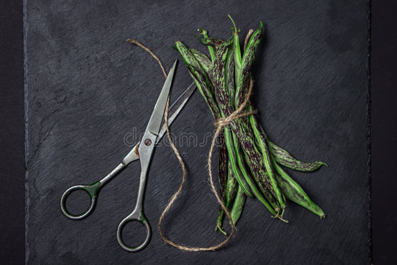 Green String Beans Tied in a Bunch Hanging on a Black Background Stock ...