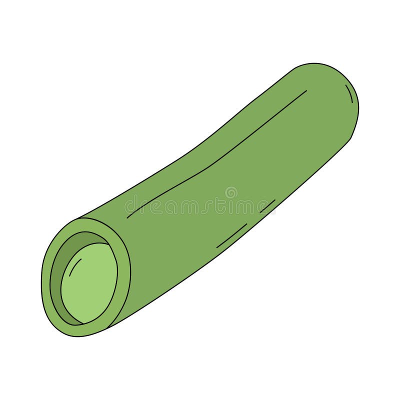 String Beans Vector Stock Illustrations – 306 String Beans Vector Stock ...