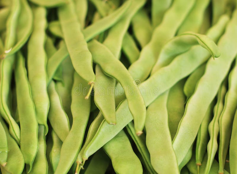 String beans stock image. Image of produce, health, fresh - 96907379
