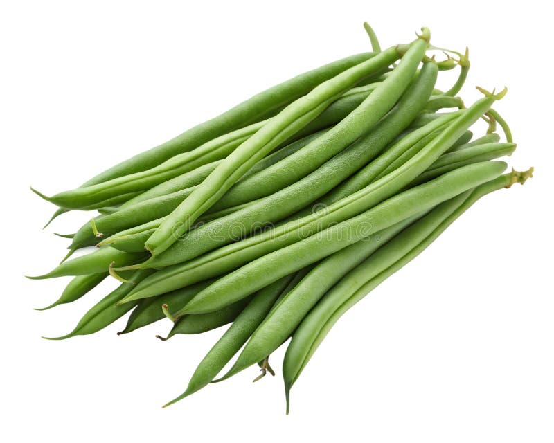 String Beans Stock Illustrations – 2,295 String Beans Stock ...