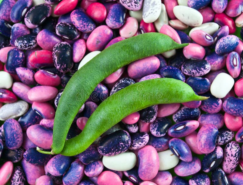 String beans stock photo. Image of blue, pile, diet, harvest - 29060170