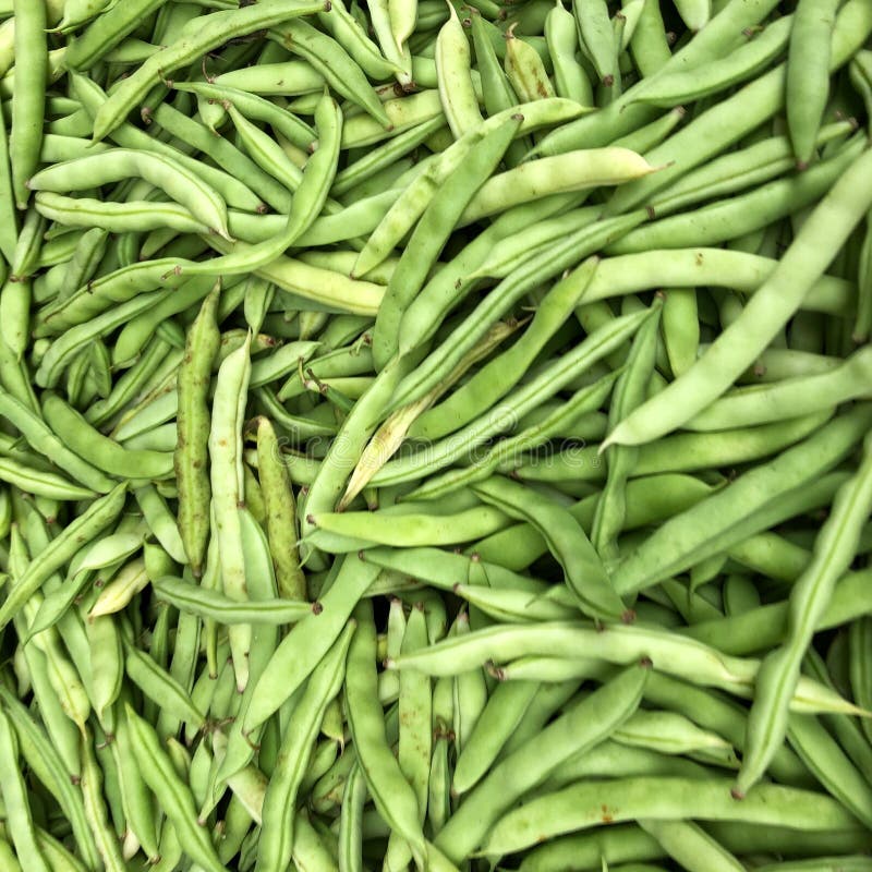 String beans stock photo. Image of vegetables, string - 11205162