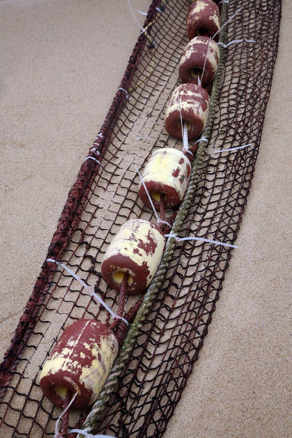 String of Buoys Floating on Ocean Surface Stock Image - Image of coast ...