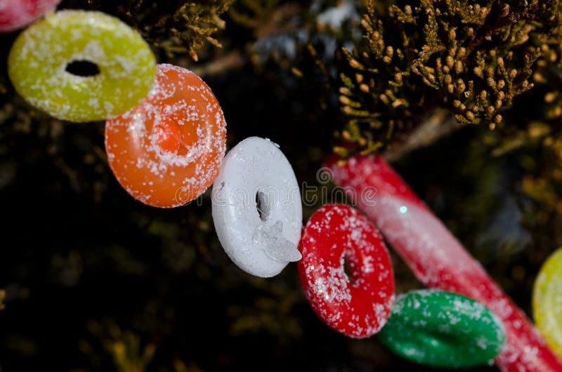 815 String Christmas Candy Stock Photos - Free & Royalty-Free Stock ...