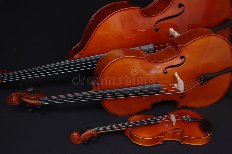 10,866 String Family Stock Photos - Free & Royalty-Free Stock Photos ...