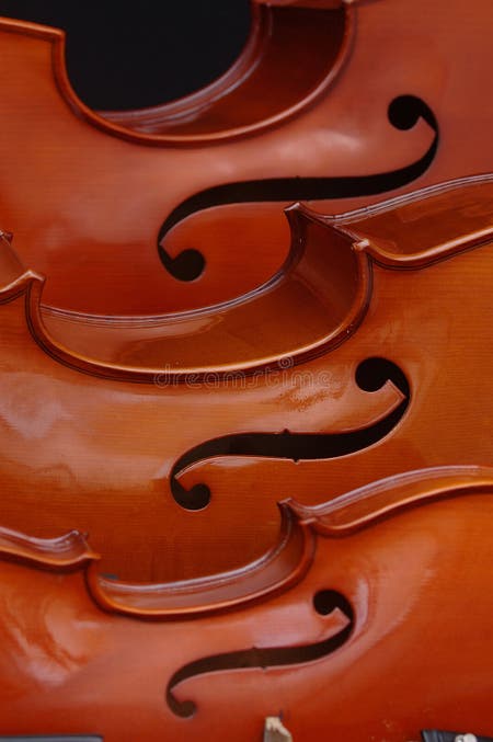 String family stock photo. Image of color, lifes, instrumental - 5509576