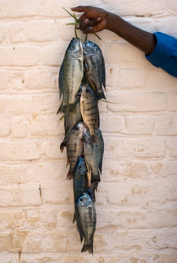 Fish On A String In A China Russia Border Village Stock Photo - Image ...