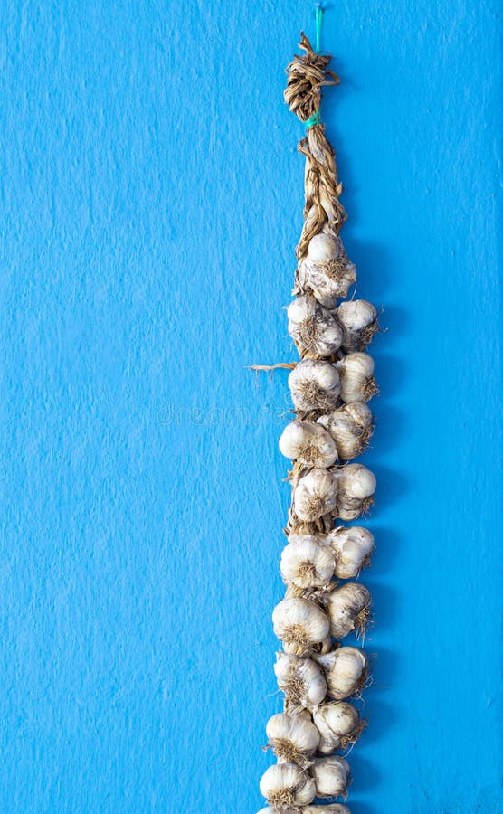 String of Garlic Against Blue Wall Stock Image - Image of healthy ...