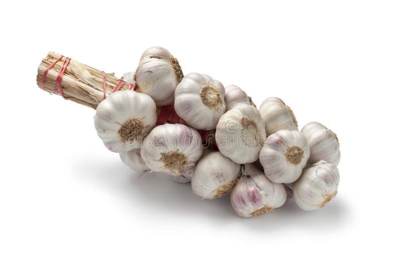 Garlic stock photo. Image of bulbs, aroma, cooking, pink - 525396