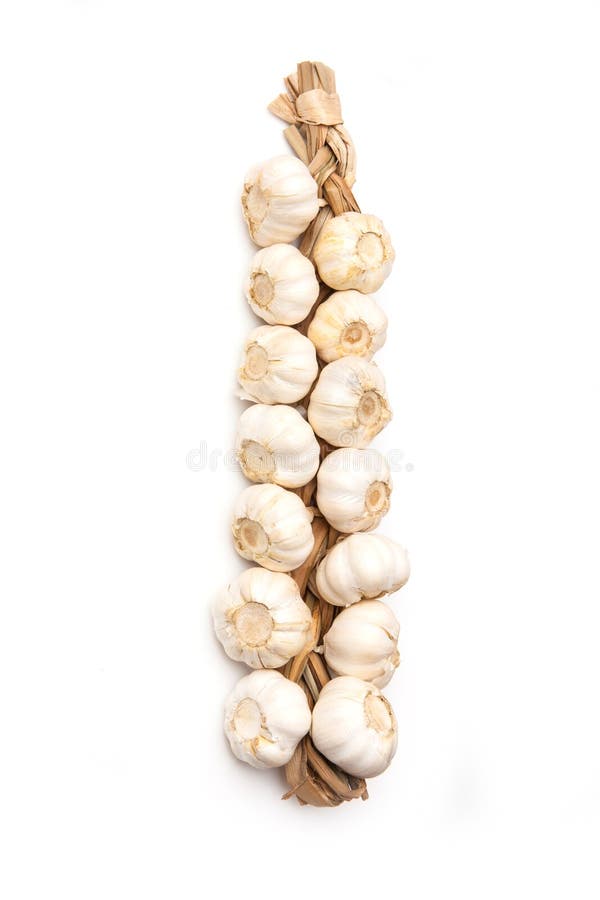 Garlic Bulbs stock image. Image of seasoning, gould, green - 28945545