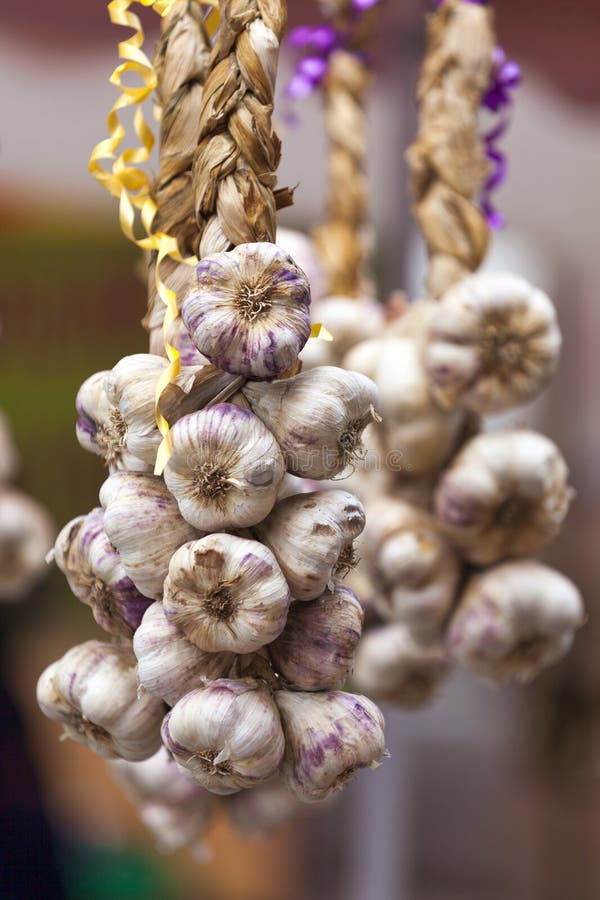 String of Garlic Bulbs Hanging from a Display Stock Photo - Image of ...