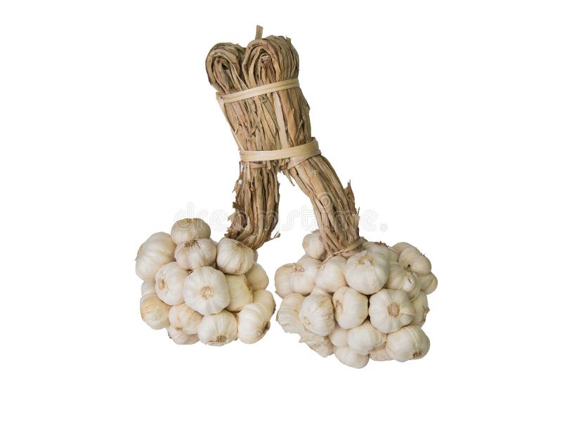 Garlic Set Isolated on White Background Stock Image - Image of closeup ...