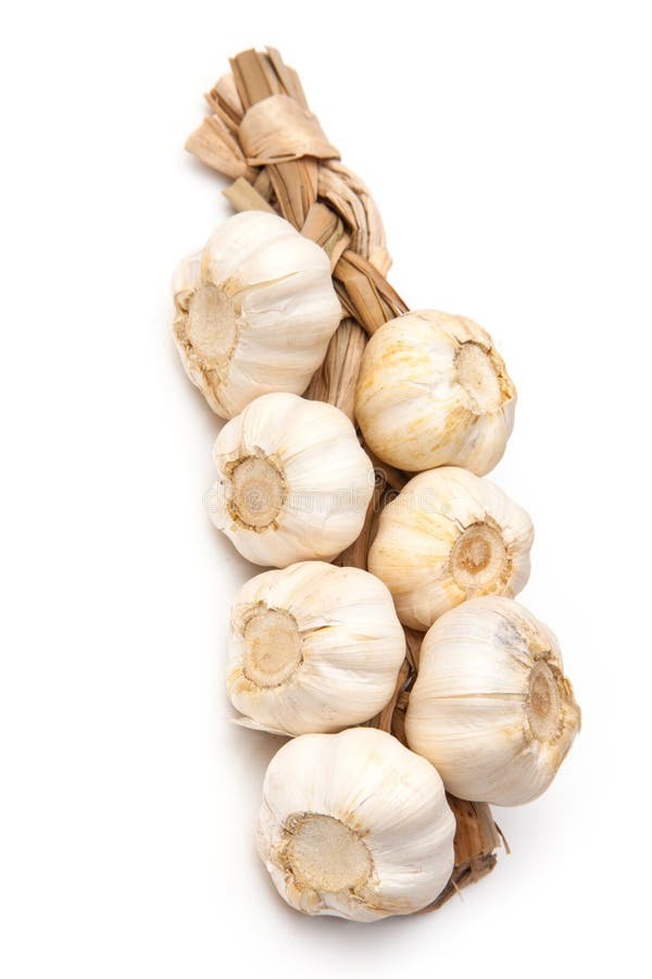 String of garlic bulbs stock photo. Image of background - 40607162