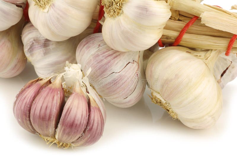 String of garlic bulbs stock image. Image of scented - 30246385