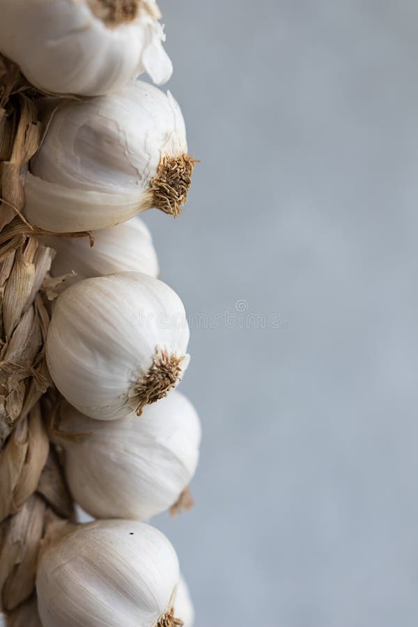 String of garlic stock photo. Image of cooking, bulbs - 83775230