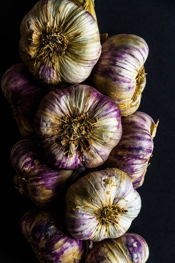 String of Garlic, Dark Background Stock Image - Image of vegetable ...