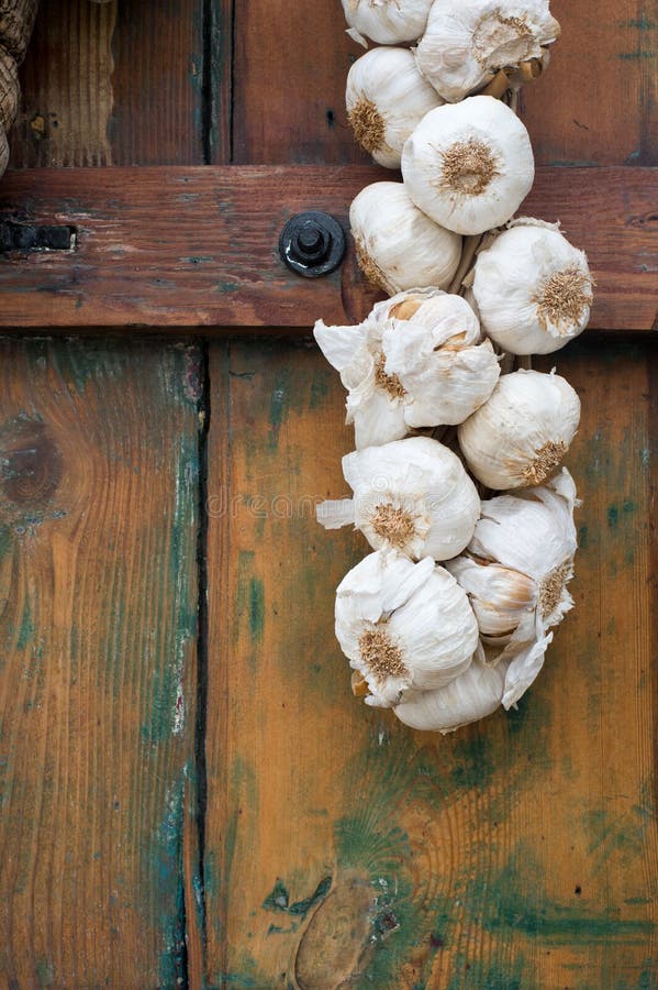 Garlic Hanging From String stock image. Image of image - 8755497