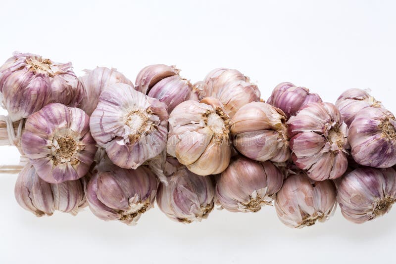 Garlic stock image. Image of flavor, food, purple, clove - 25669893