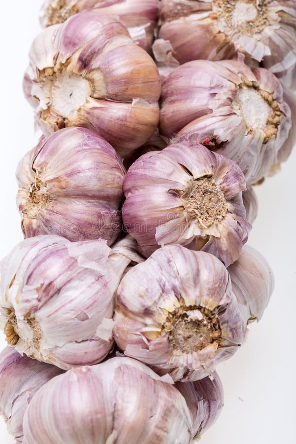 String of garlic stock image. Image of ingredient, natural - 68756977