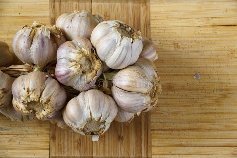 Garlic on a string stock image. Image of garlic, ripe, shed - 406289