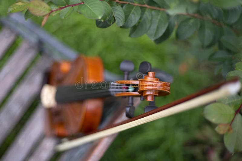 String Instrument Classical Music Brown Violin Outdoor at Day Stock ...