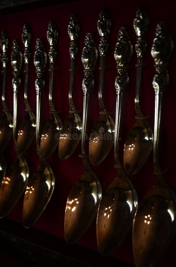 String Instrument, Musical Instrument, Still Life Photography Picture ...