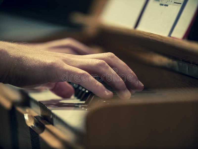 Beautiful String Instruments - Piano, Violin, Cello and Double Basses ...