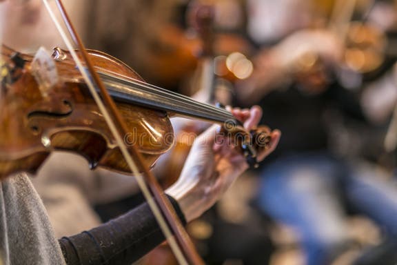 1,379 Body Orchestra Videos Stock Photos - Free & Royalty-Free Stock ...