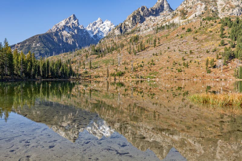 String Lake Fall Teton Reflection Stock Photo - Image of nature ...