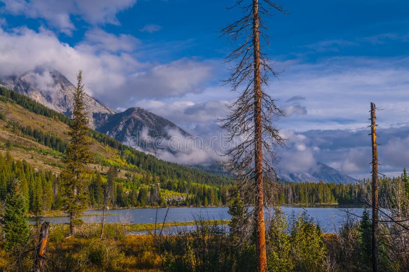 String Lake stock image. Image of jackson, hill, scenery - 34820543