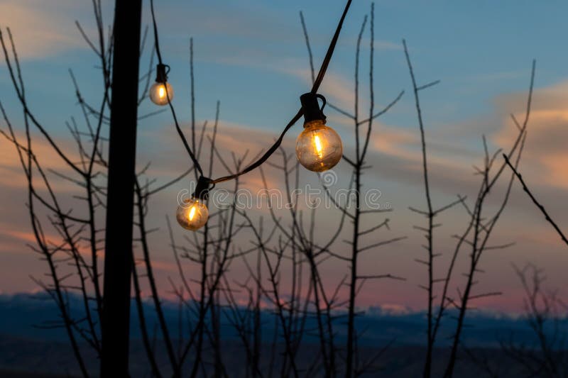 String Lights at Dusk with a Sunset Sky. Stock Photo - Image of ...