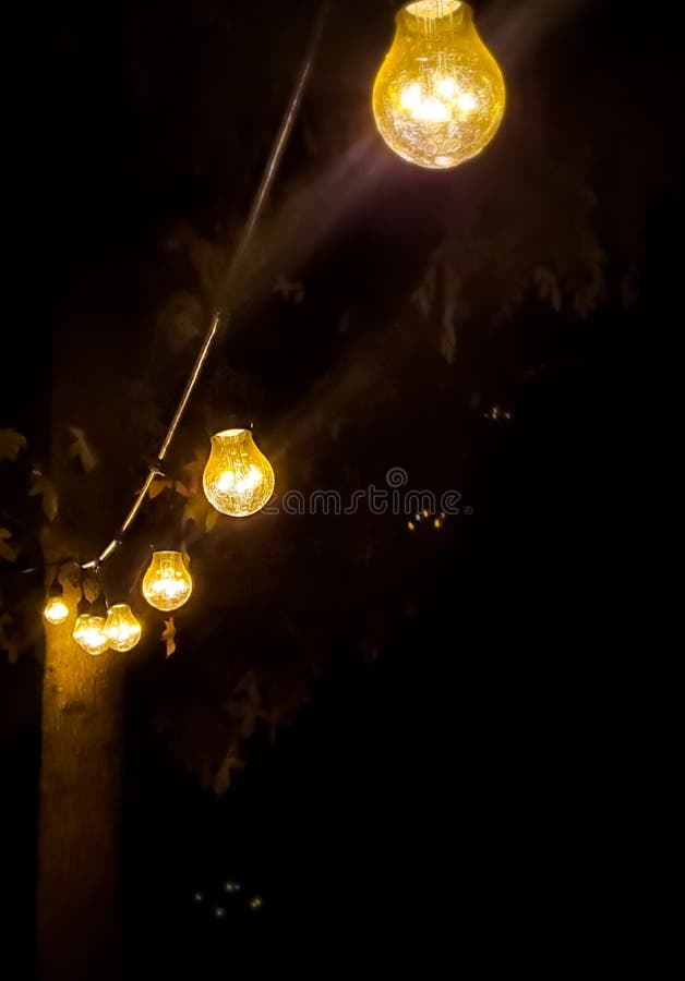 String Lights through the Forest Stock Photo - Image of porch, party ...