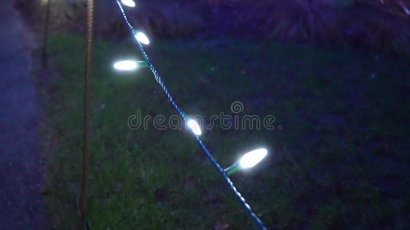 String Lights Illuminating Night Garden in Subtle Glow Stock Footage ...