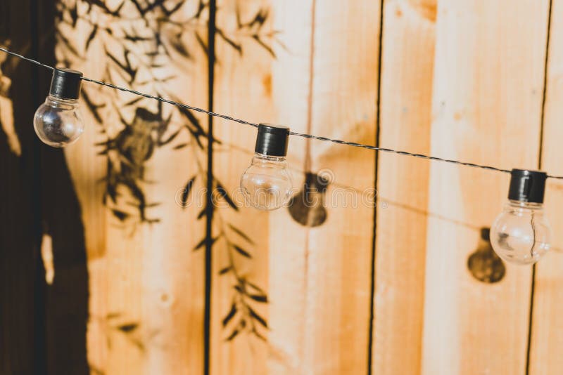 String Lights with Lightbulb Shape and Tree Branches Shadows Stock ...